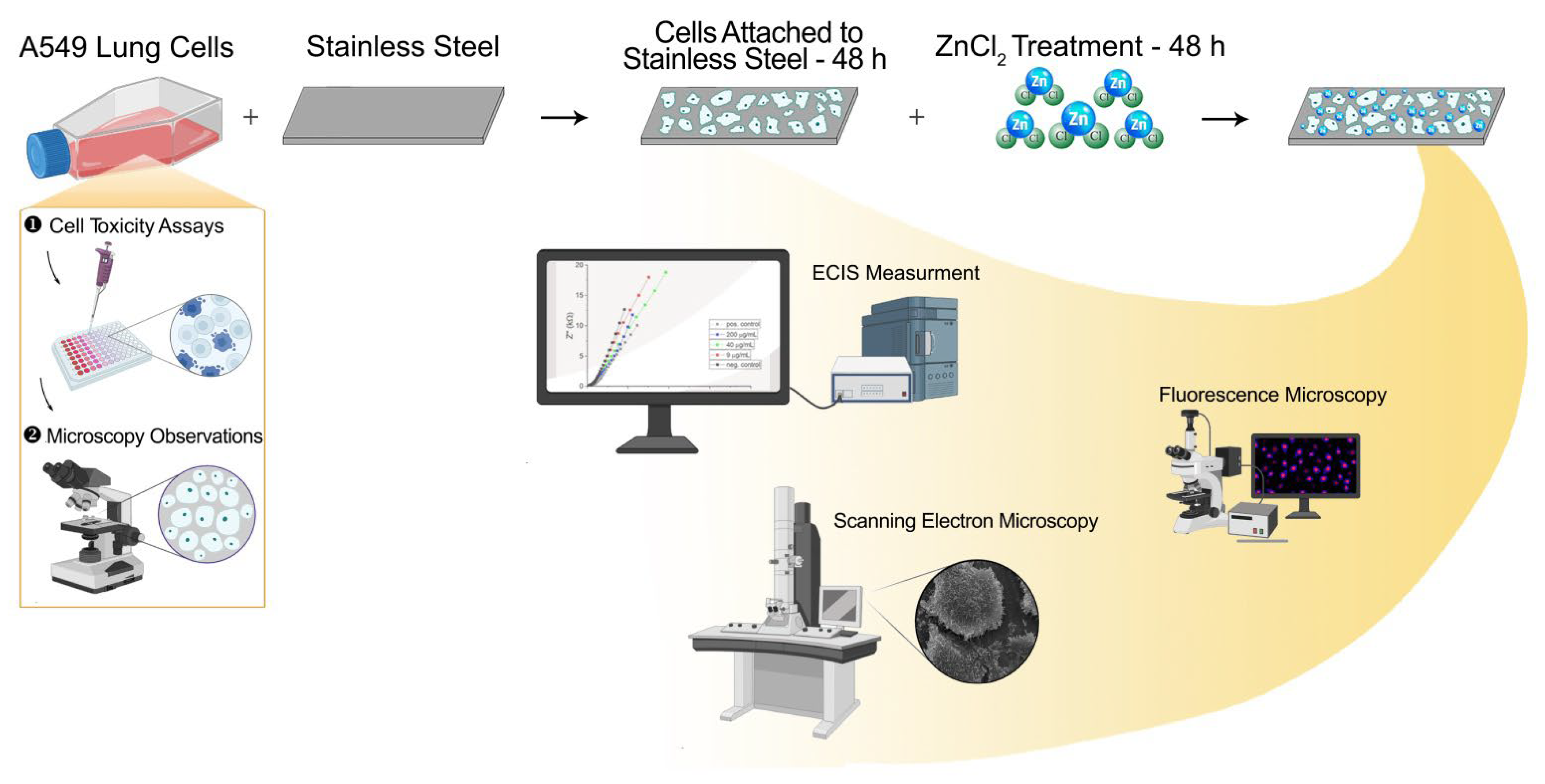 A549 Cell-Covered Electrodes as a Sensing Element for Detection of Effects of Zn2+ Ions in a ...