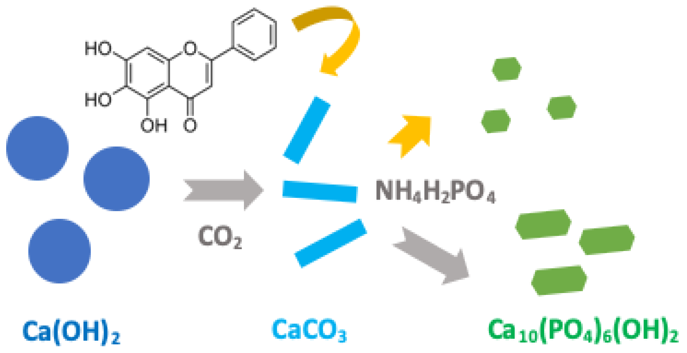 Synthesis of Hybrid Polyphenol/Hydroxyapatite Nanomaterials with Anti ...