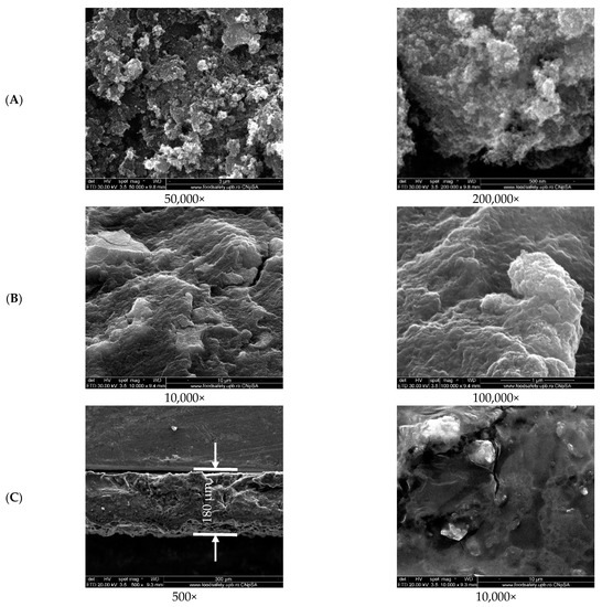 Magneto-Mechanically Triggered Thick Films for Drug Delivery Micropumps
