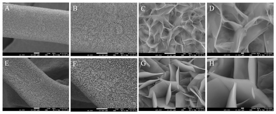 Ni2P Nanoparticle-Inserted Porous Layered NiO Hetero-Structured ...