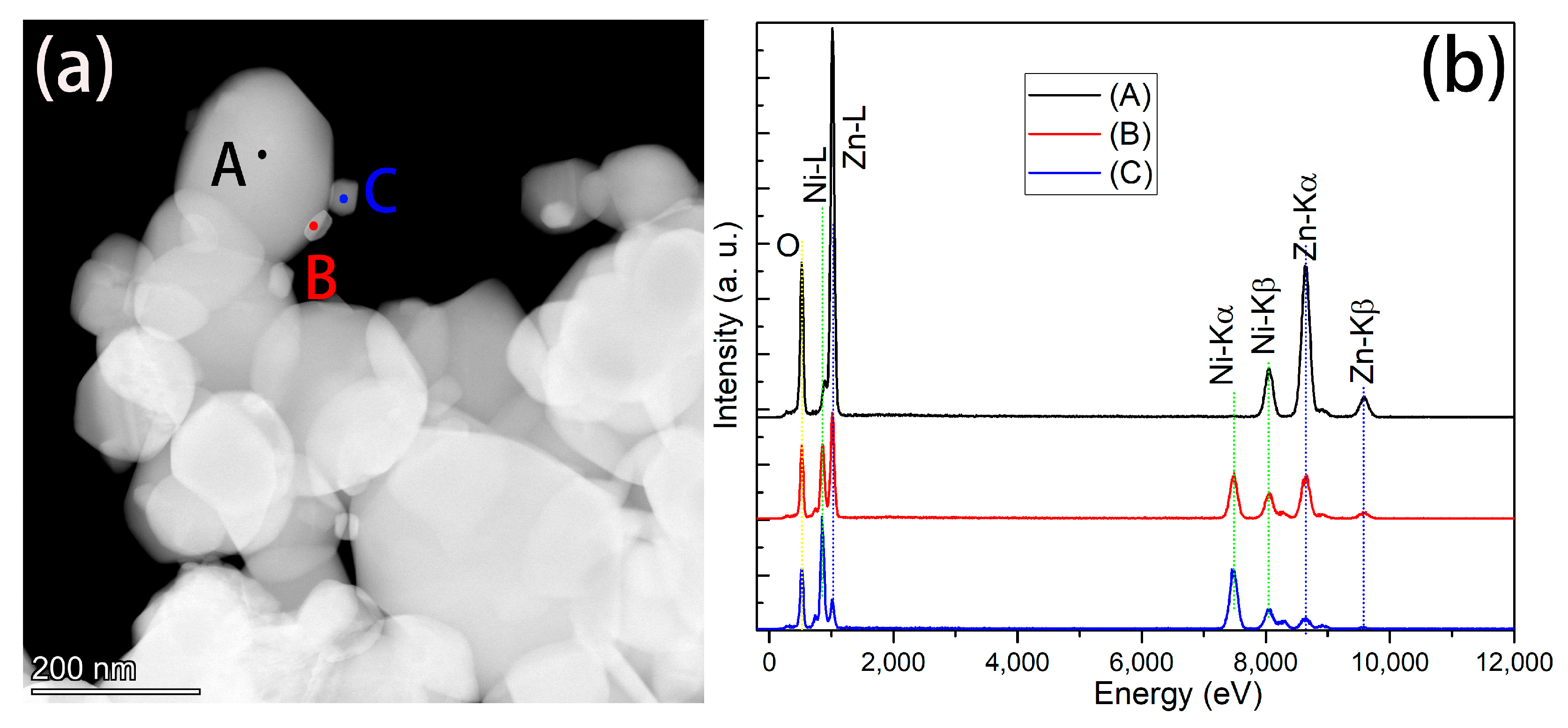 Nanomaterials | Free Full-Text | Improved Photocatalytic Activity via n-Type ZnO/p-Type NiO ...