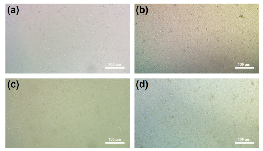 Role of Solvent Used in Development of Graphene Oxide Coating on AZ31B Magnesium Alloy ...