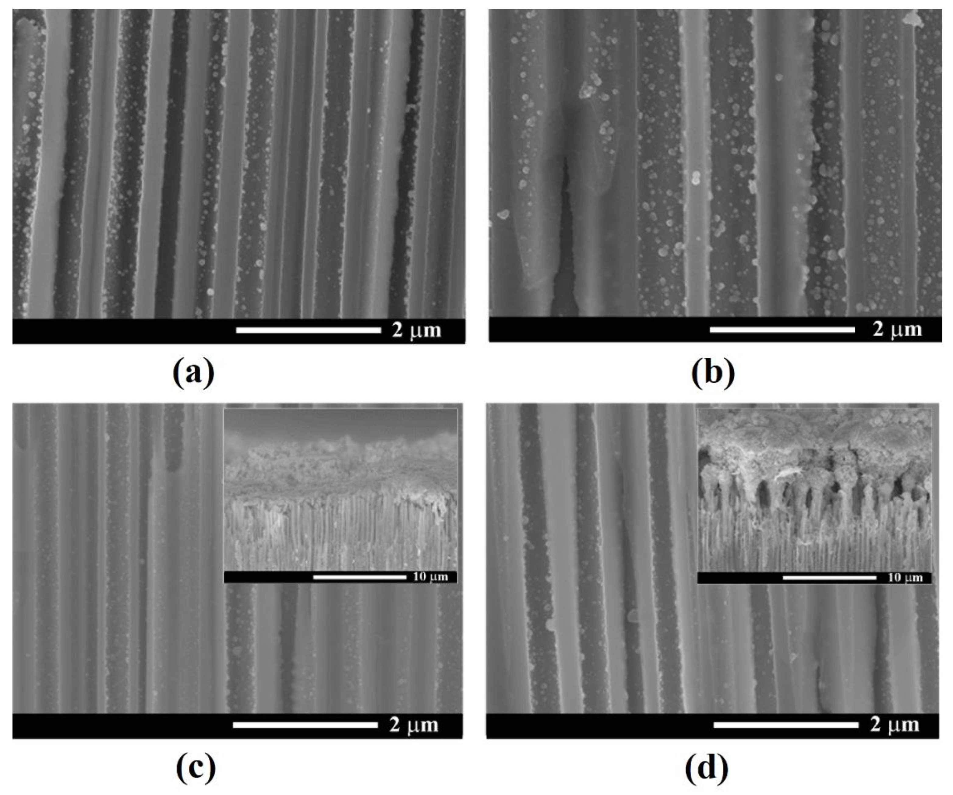 Electrochemical Deposition of Ferromagnetic Ni Nanoparticles in InP ...