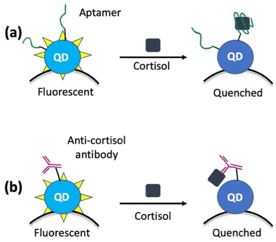Nanomaterials for Cortisol Sensing