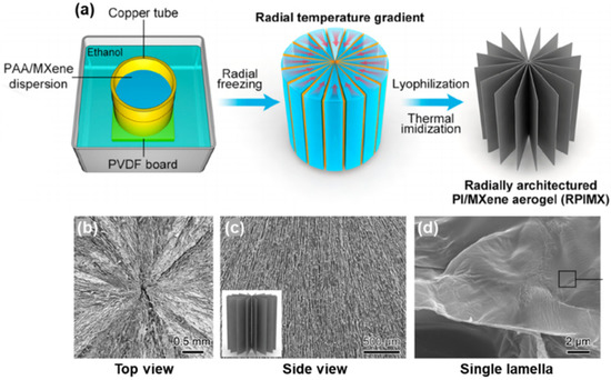MXene-Based Porous Monoliths