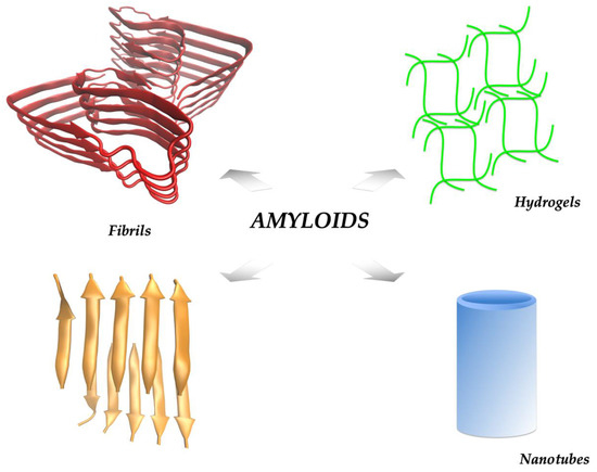 Catalytically Active Amyloids as Future Bionanomaterials