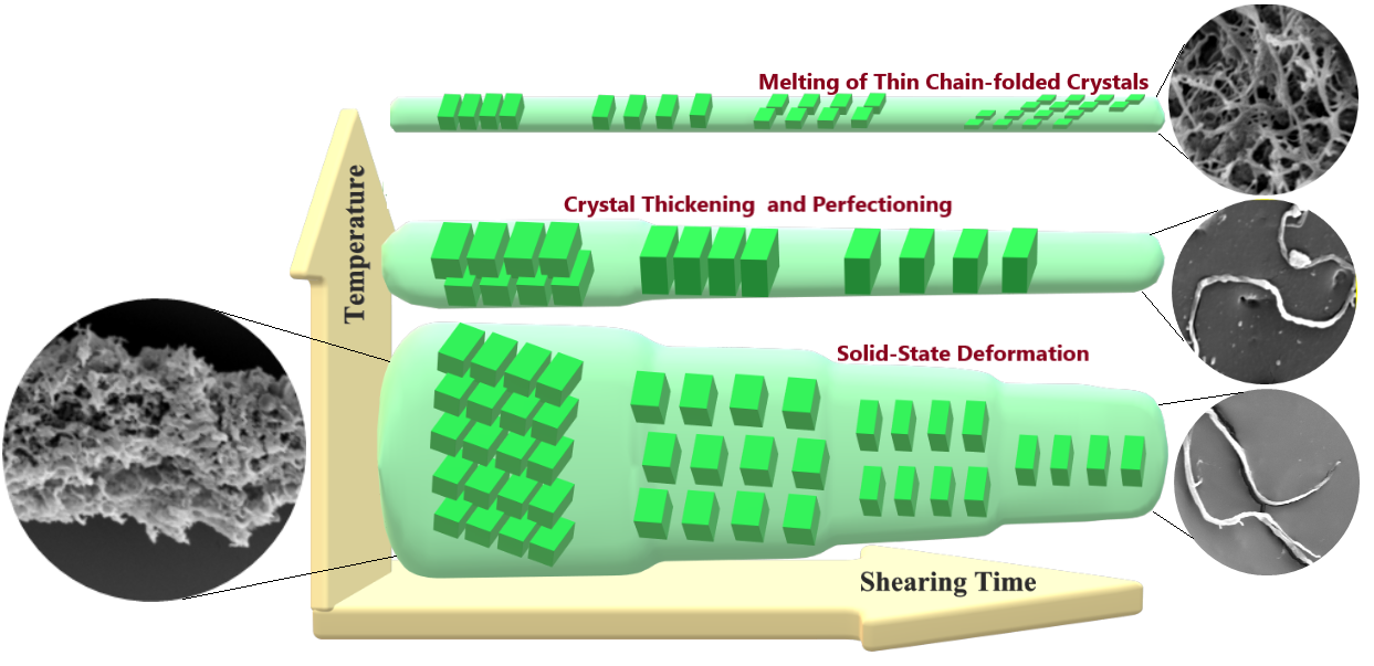 Nanomaterials | Free Full-Text | Formation of UHMWPE Nanofibers during ...