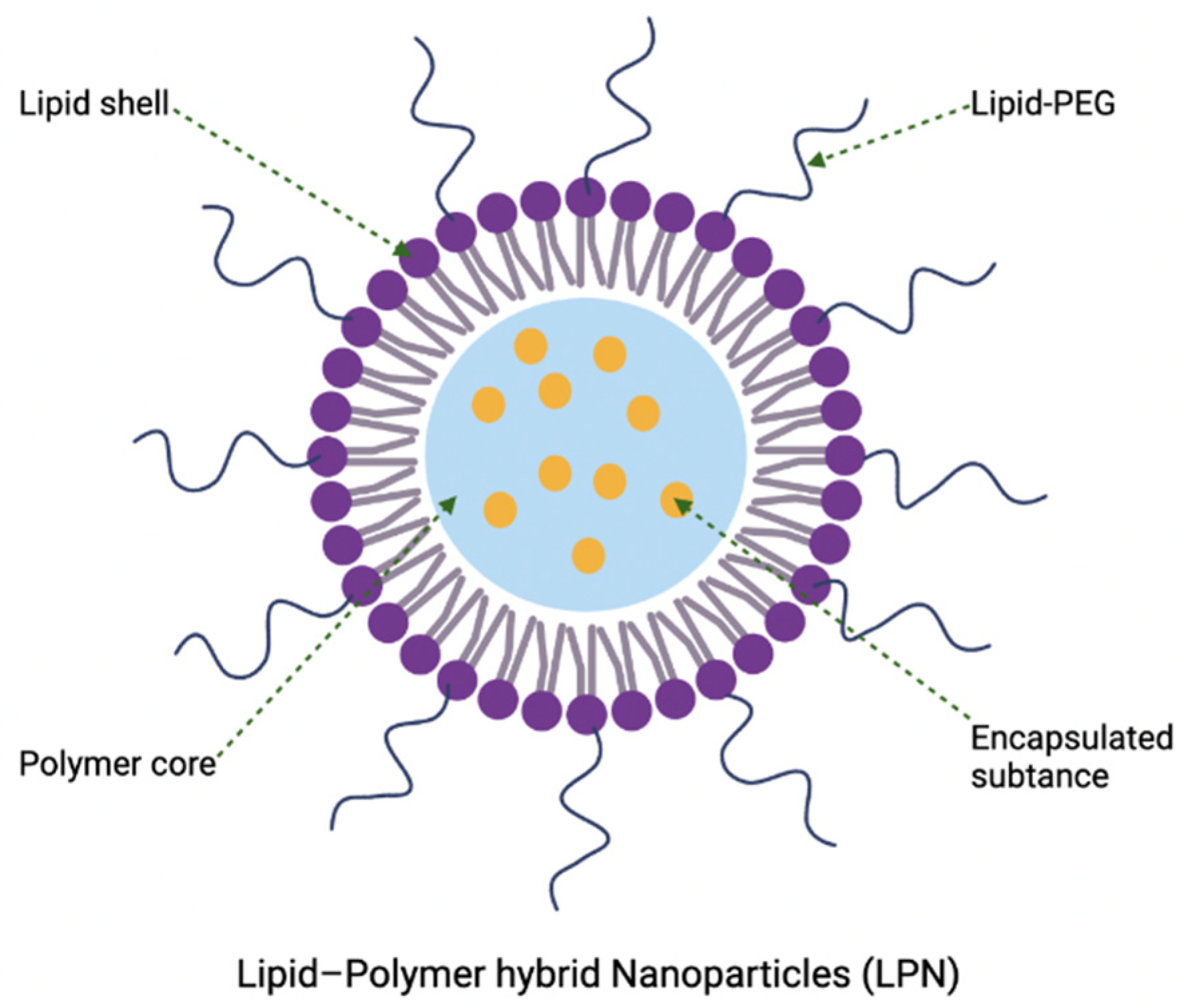 Nanomaterials Free Full Text Recent Advances In The Development Of