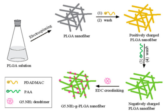 Surface Functionalization of Nanofibers: The Multifaceted Approach for ...
