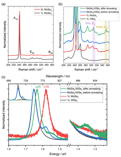 Raman Fingerprint of Interlayer Coupling in 2D TMDCs
