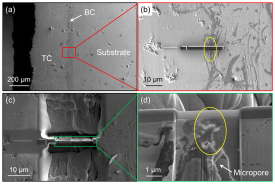 Experimental Study of the Thermally Grown Oxide and Interface of ...