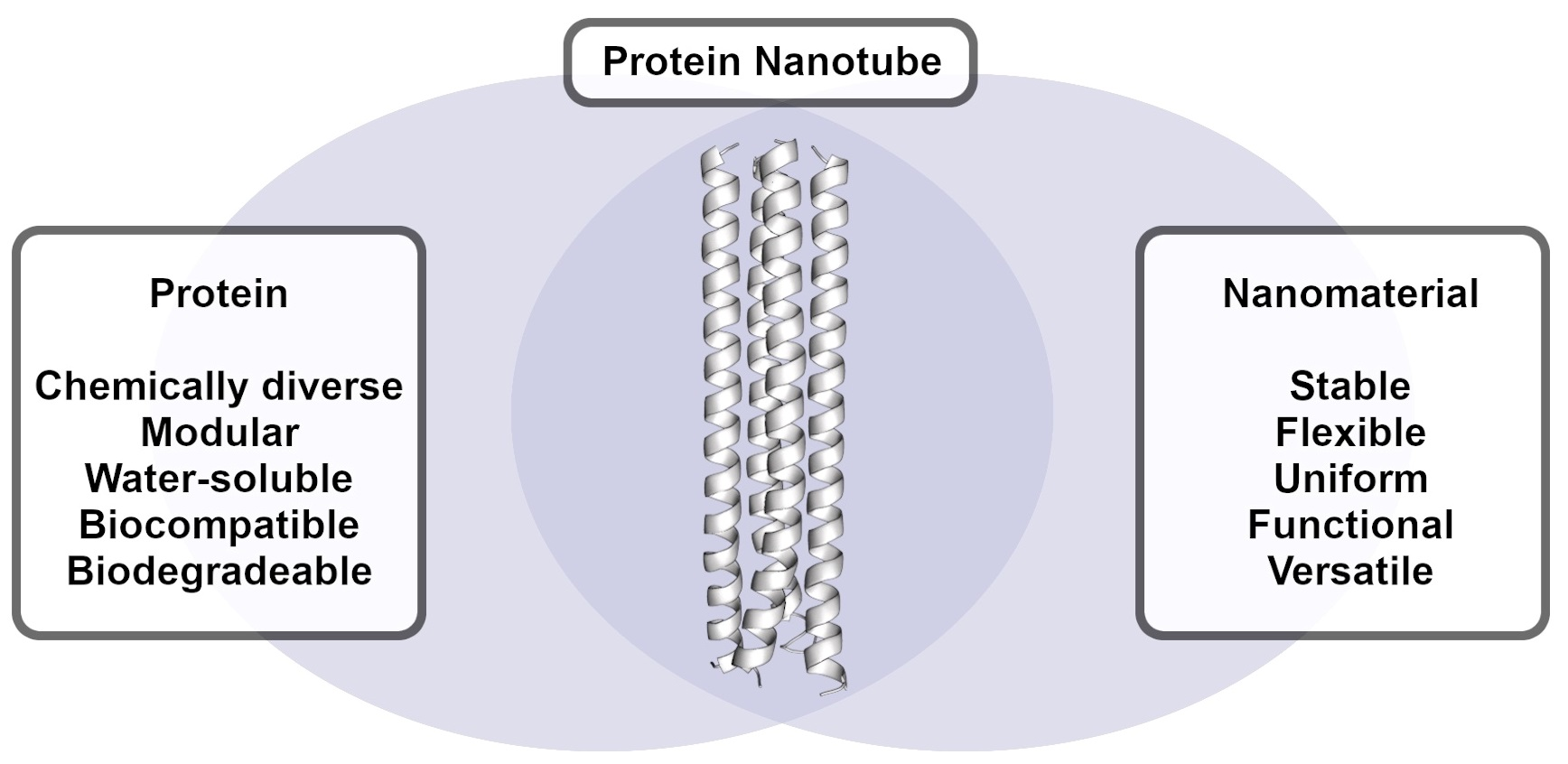 Nanomaterials | Free Full-Text | A Structural Analysis of Proteinaceous Nanotube Cavities and ...