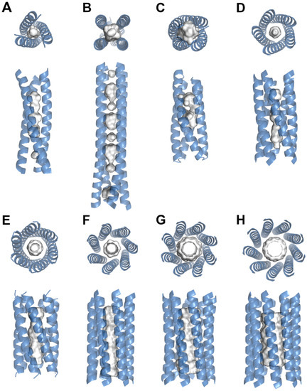 A Structural Analysis of Proteinaceous Nanotube Cavities and Their ...
