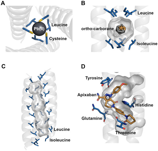 Nanomaterials | Free Full-Text | A Structural Analysis of Proteinaceous Nanotube Cavities and ...