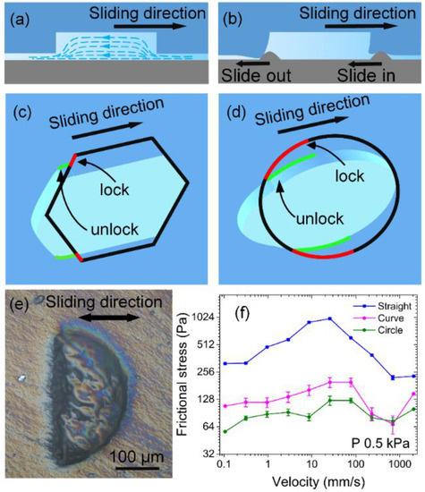 Modification of Frictional Properties of Hydrogel Surface via Laser ...