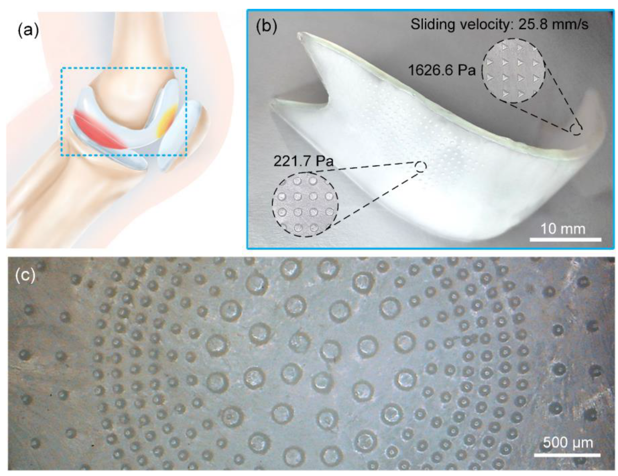 Modification of Frictional Properties of Hydrogel Surface via Laser ...