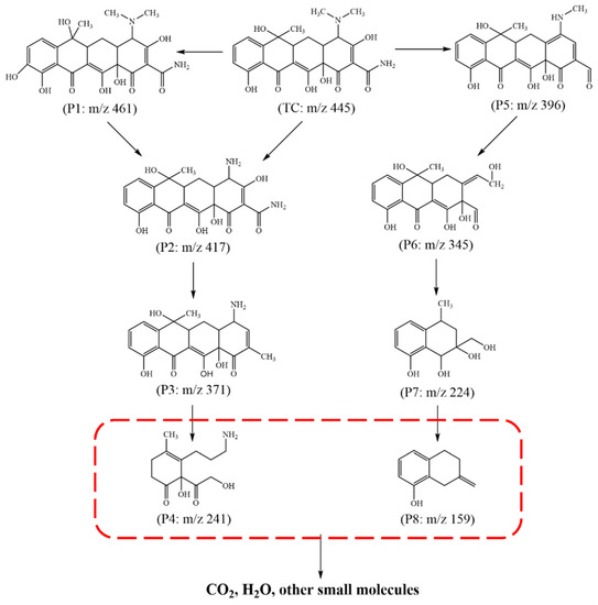 Insights into Photocatalytic Degradation Pathways and Mechanism of ...