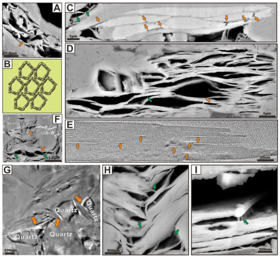 Nanomaterials | Free Full-Text | Microstructural Analysis of Organic-Rich Shales: Insights from ...