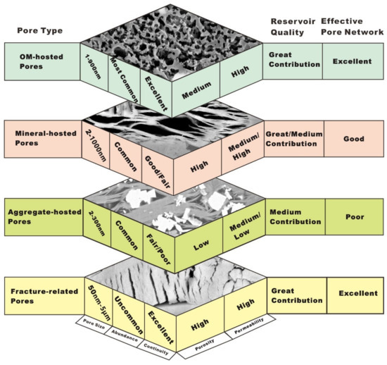 Microstructural Analysis of Organic-Rich Shales: Insights from an Electron Microscopic Study by ...