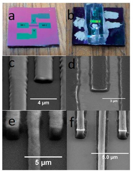 Micro and Nano Interdigitated Electrode Array (IDEA)-Based MEMS/NEMS as Electrochemical ...