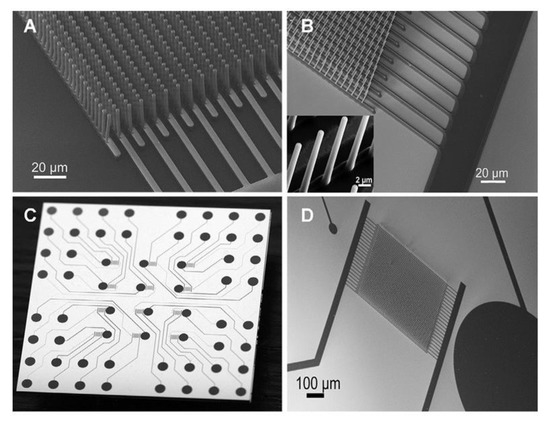 Micro and Nano Interdigitated Electrode Array (IDEA)-Based MEMS/NEMS as Electrochemical ...