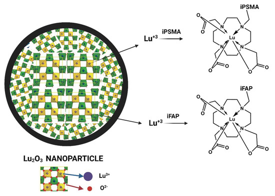 Toxicity Assessment of [177Lu]Lu−iFAP/iPSMA Nanoparticles Prepared ...