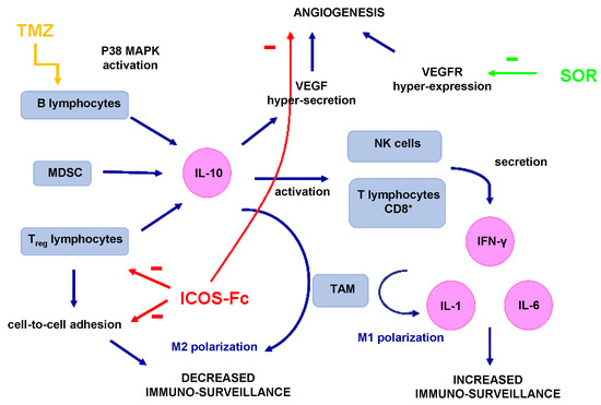Parenteral Nanoemulsions Loaded with Combined Immuno- and Chemo-Therapy ...