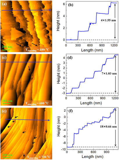 Study of the Cu(111) Surface by Scanning Tunneling Microscopy: The ...