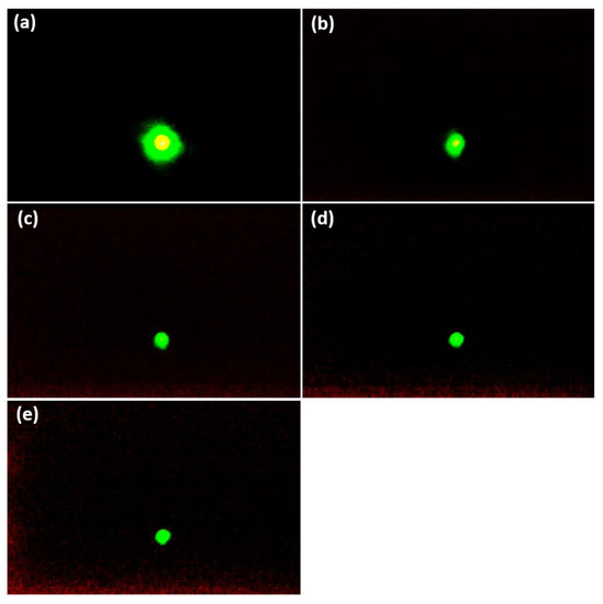 Beam Trajectory Analysis of Vertically Aligned Carbon Nanotube Emitters with a Microchannel Plate