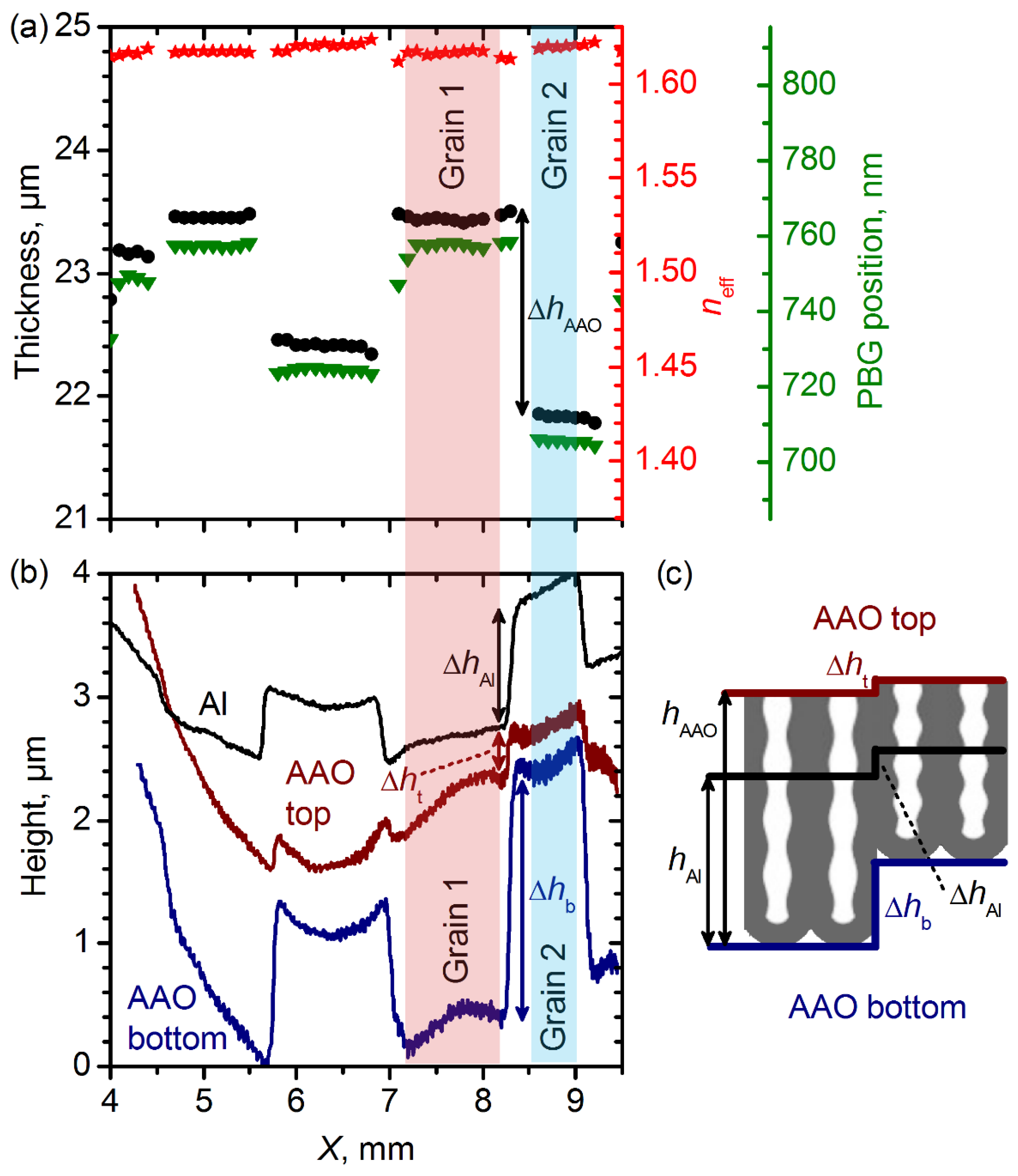 Mosaic of Anodic Alumina Inherited from Anodizing of Polycrystalline ...