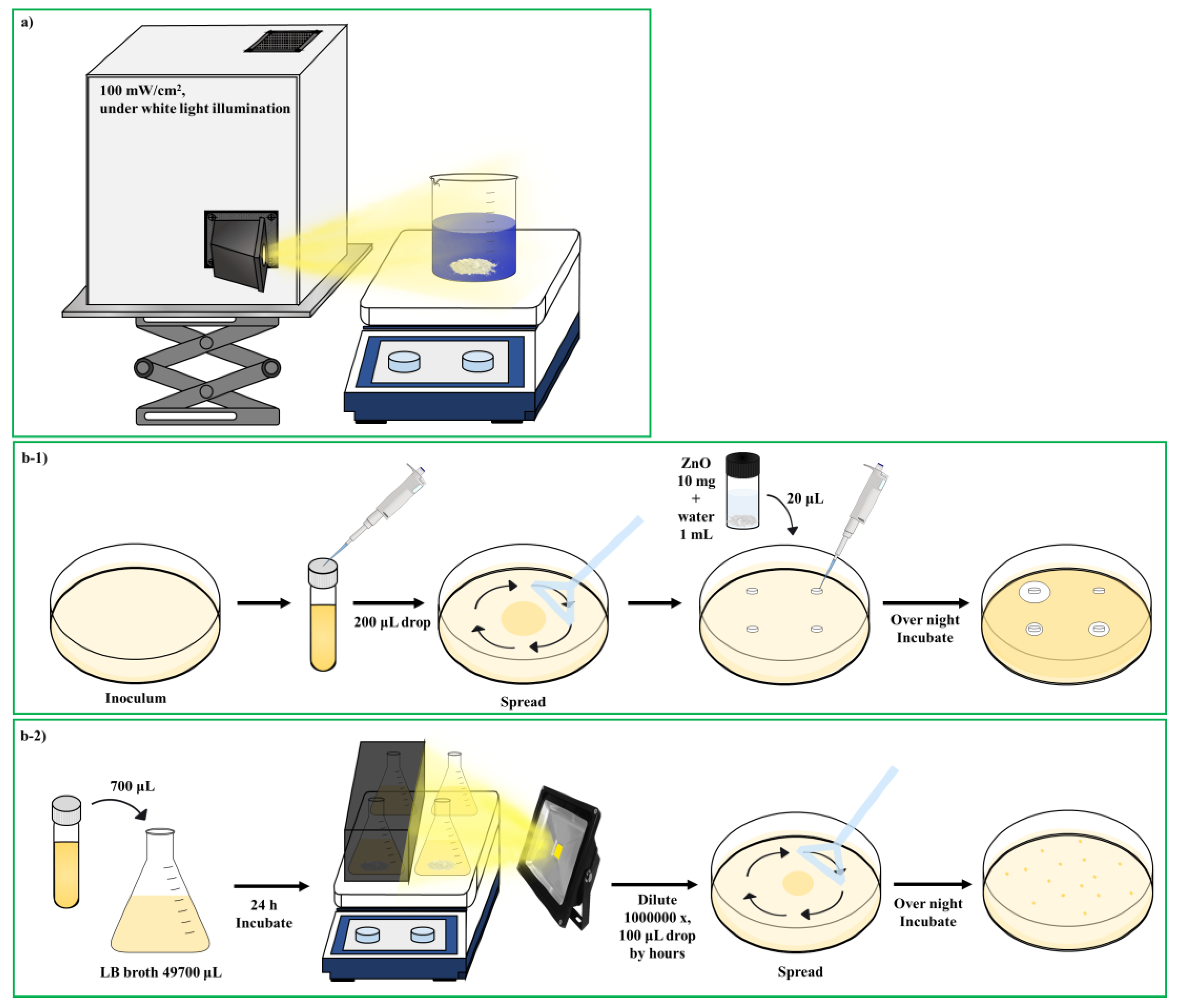 Effective Antibacterial/Photocatalytic Activity of ZnO Nanomaterials ...