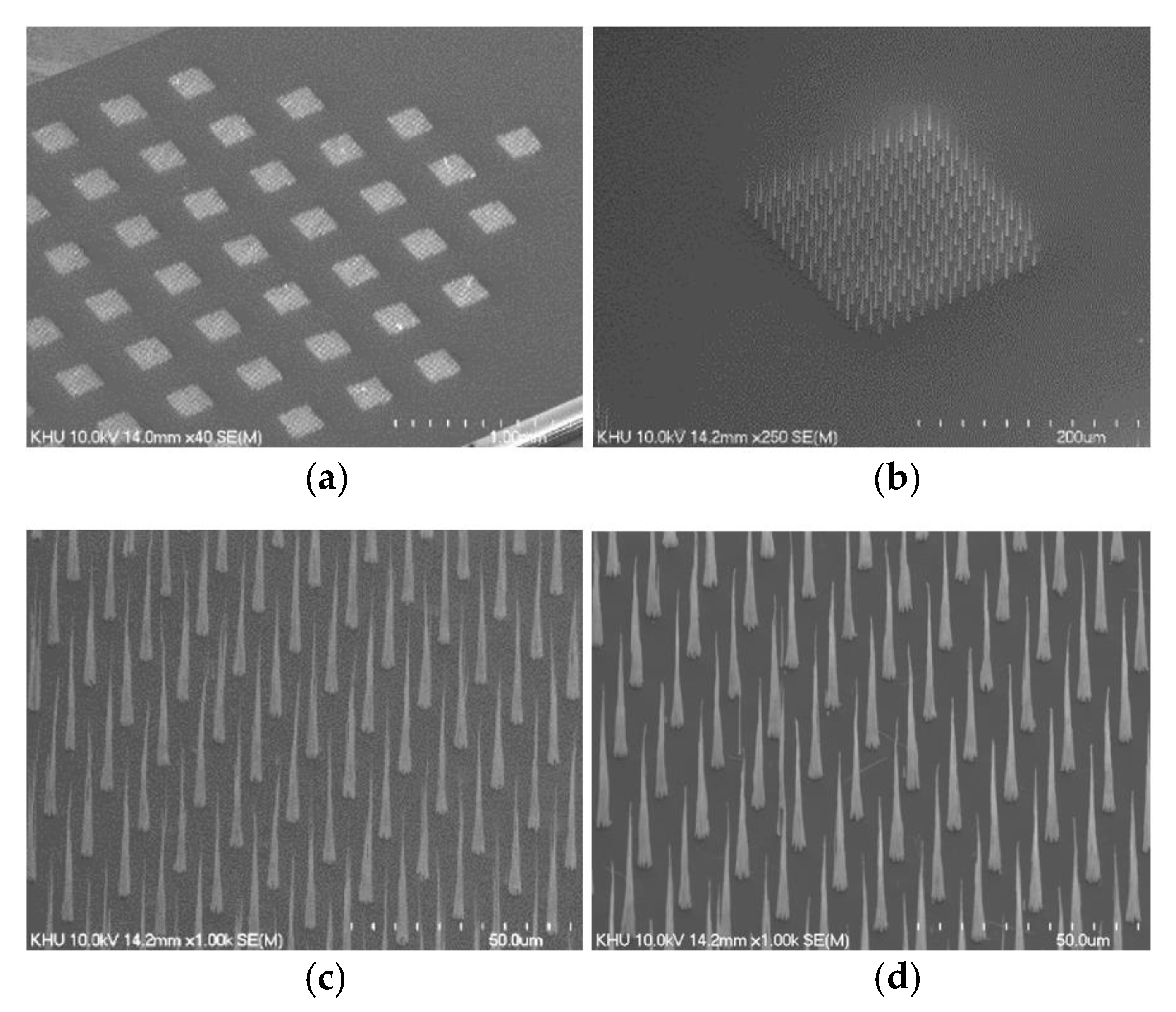 Patterning of Silicon Substrate with Self-Assembled Monolayers Using Vertically Aligned Carbon ...