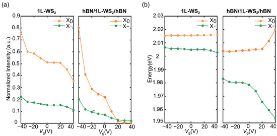 Enhanced Field-Effect Control of Single-Layer WS2 Optical Features by hBN Full Encapsulation