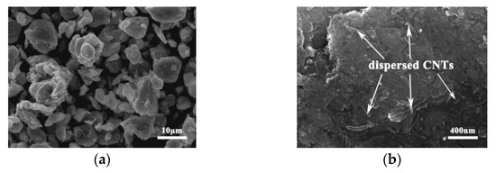 Nanomaterials | Free Full-Text | Strengthening Ni-Coated CNT/Mg ...