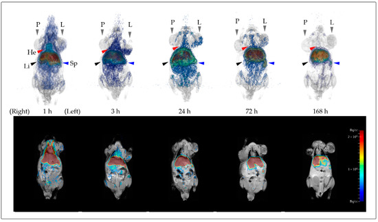Preclinical PET and MR Evaluation of 89Zr- and 68Ga-Labeled ...