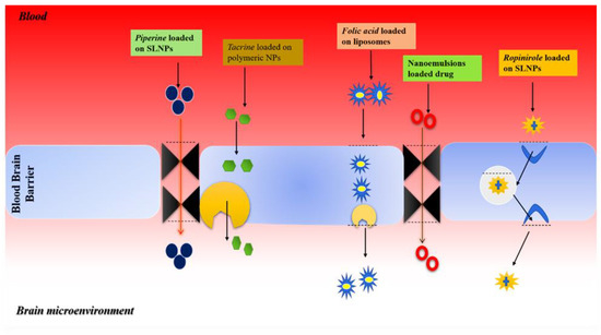 Nanoparticles in Drug Delivery: From History to Therapeutic Applications
