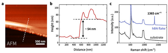Photodynamics of Bright Subnanosecond Emission from Pure Single-Photon ...