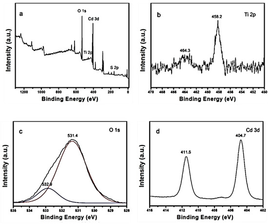 CdS-Modified TiO2 Nanotubes with Heterojunction Structure: A ...