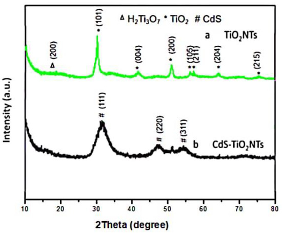 CdS-Modified TiO2 Nanotubes with Heterojunction Structure: A Photoelectrochemical Sensor for ...