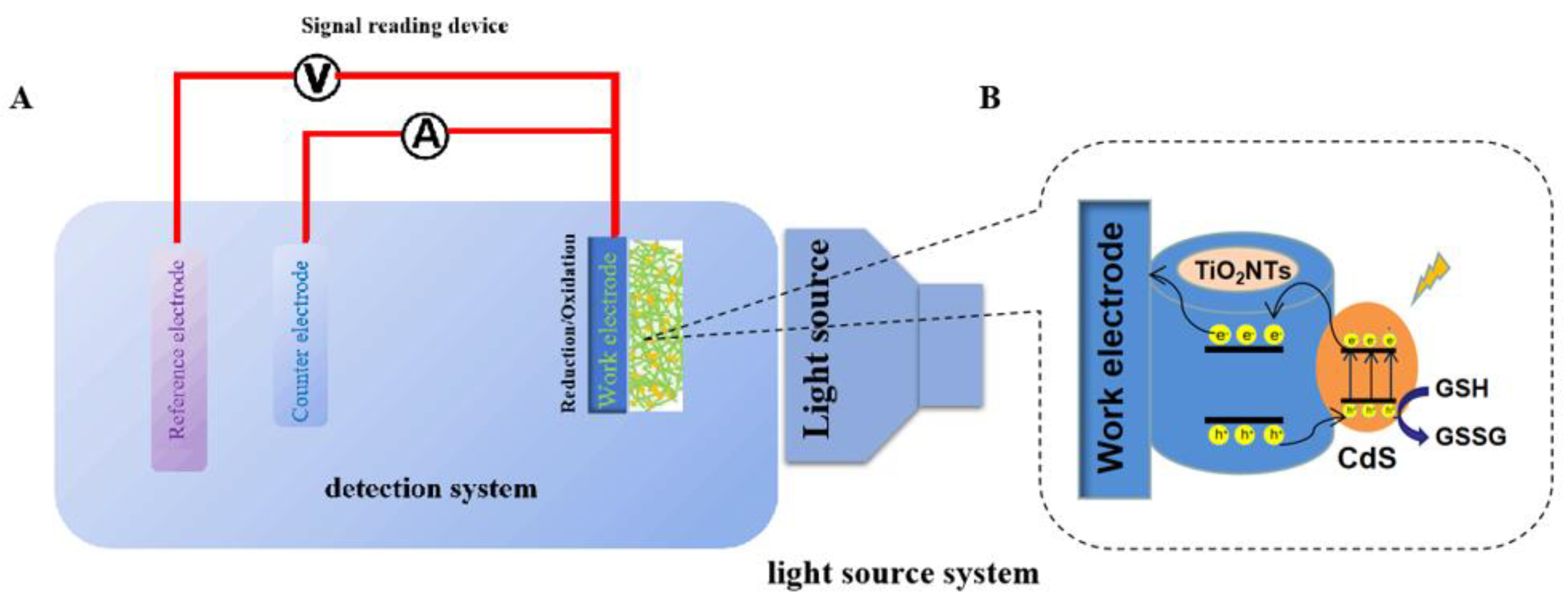 CdS-Modified TiO2 Nanotubes with Heterojunction Structure: A ...