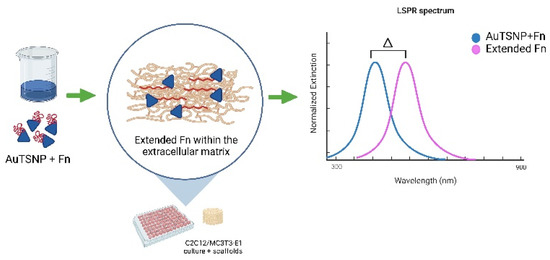Monitoring In Vitro Extracellular Matrix Protein Conformations in the ...