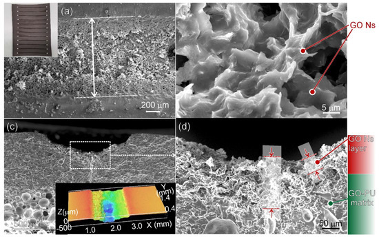 Nanomaterials | Free Full-Text | Functional Piezoresistive Polymer ...