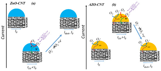 AZO Nanoparticles-Decorated CNTs for UV Light Sensing: A Structural ...