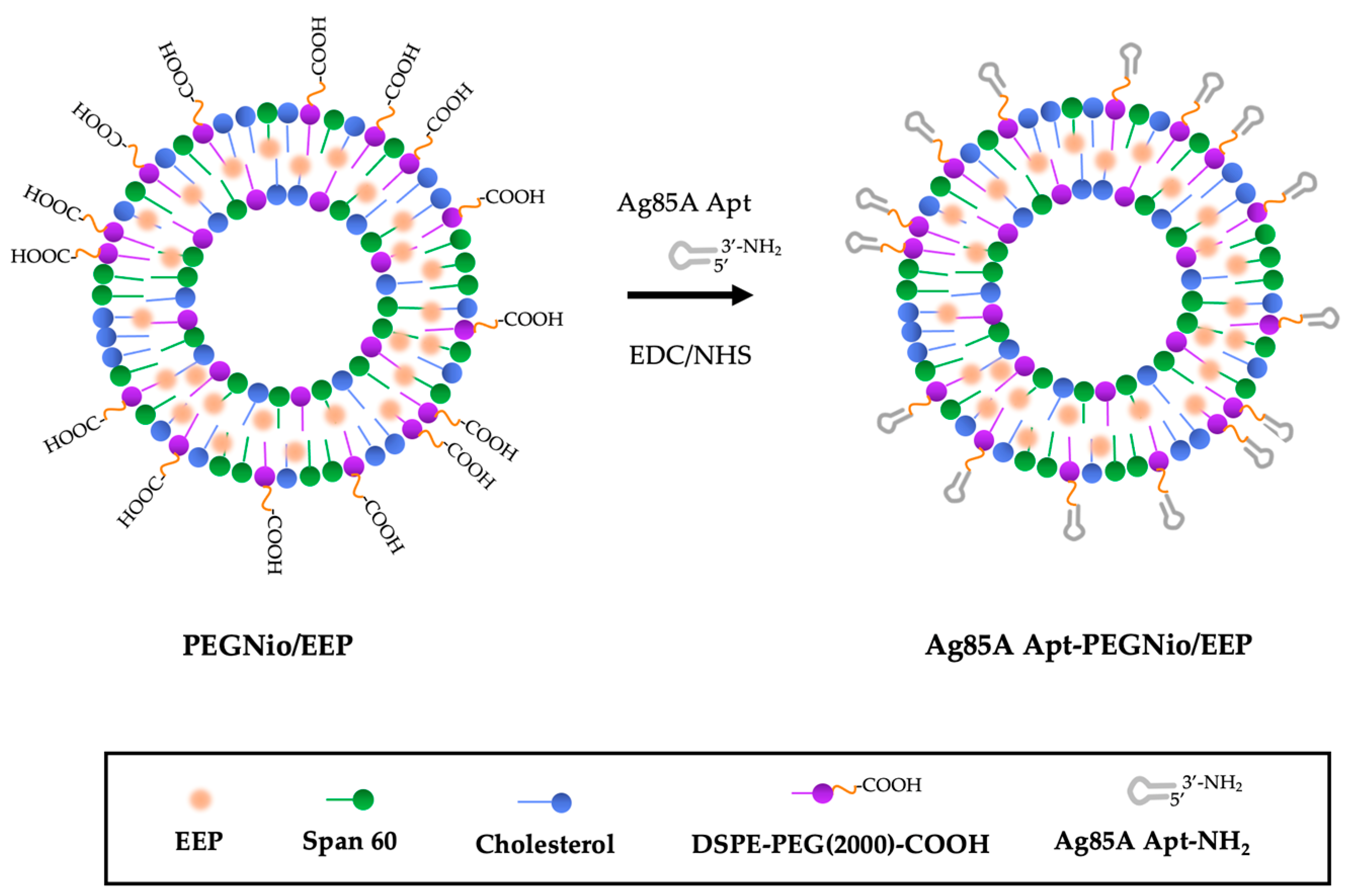 Nano-Delivery System of Ethanolic Extract of Propolis Targeting ...