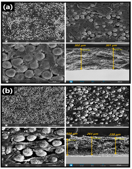 Solvent-Free Processed Cathode Slurry with Carbon Nanotube Conductors ...