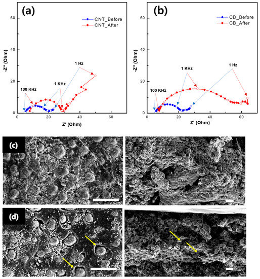 Solvent-Free Processed Cathode Slurry with Carbon Nanotube Conductors ...