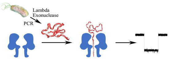 Detection of Tobacco Bacterial Wilt Caused by Ralstonia solanacearum by Combining Polymerase ...