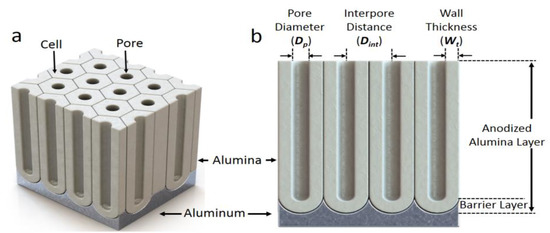 Control of the Nanopore Architecture of Anodic Alumina via Stepwise Anodization with Voltage ...