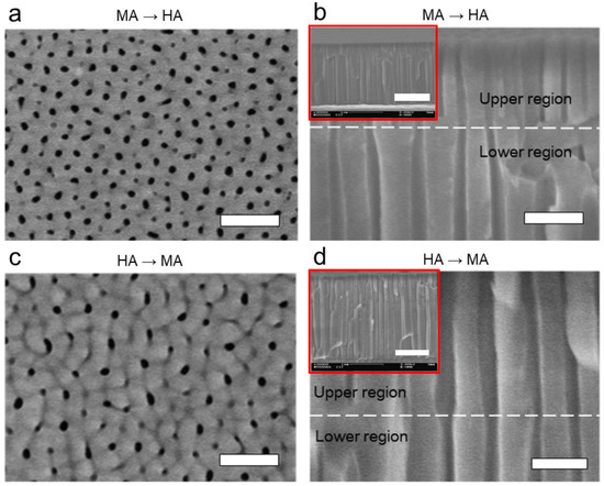 Control of the Nanopore Architecture of Anodic Alumina via Stepwise ...