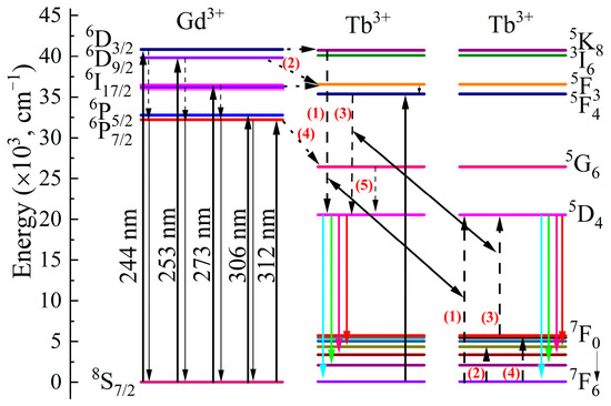Quantum Cutting in KGd(CO3)2:Tb3+ Green Phosphor